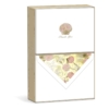 Elegant Shell Thank You Cards - Punch Studio