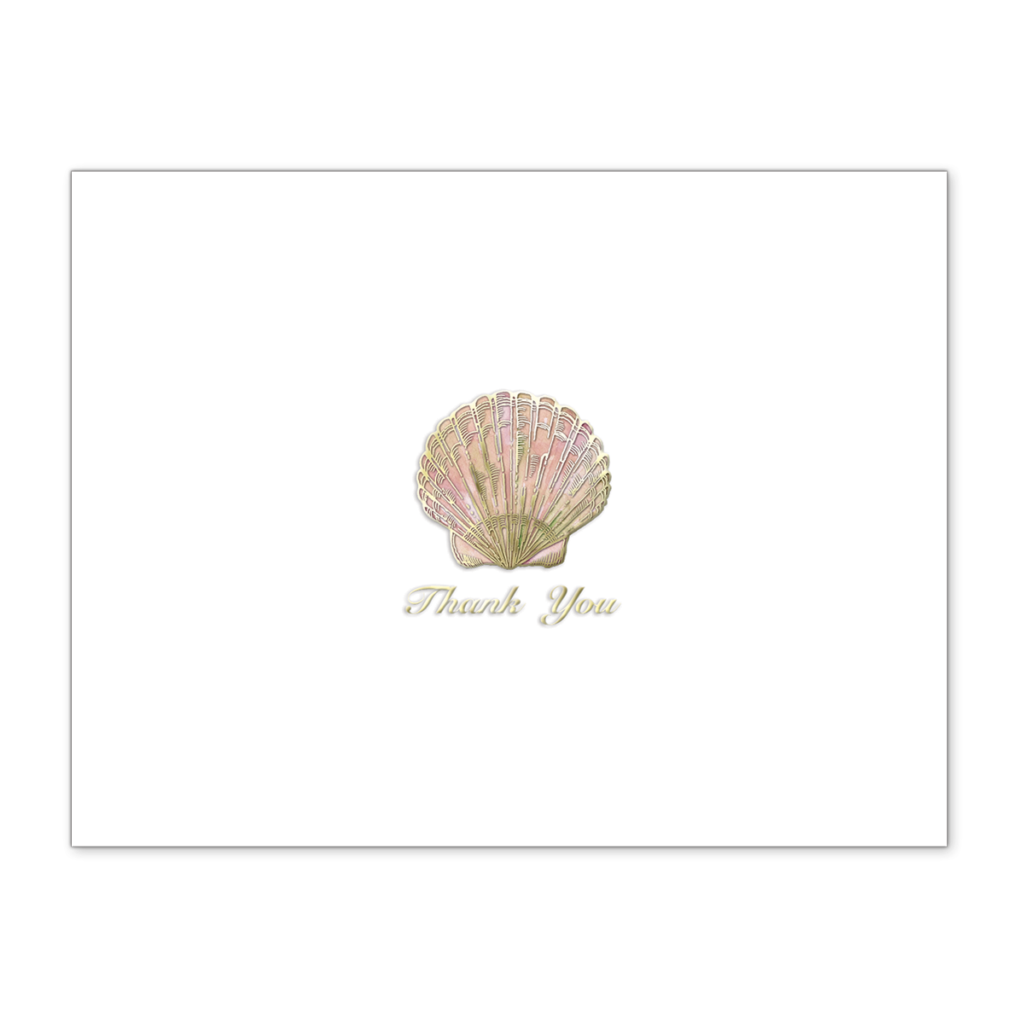 Shell Thank You Cards - Punch Studio