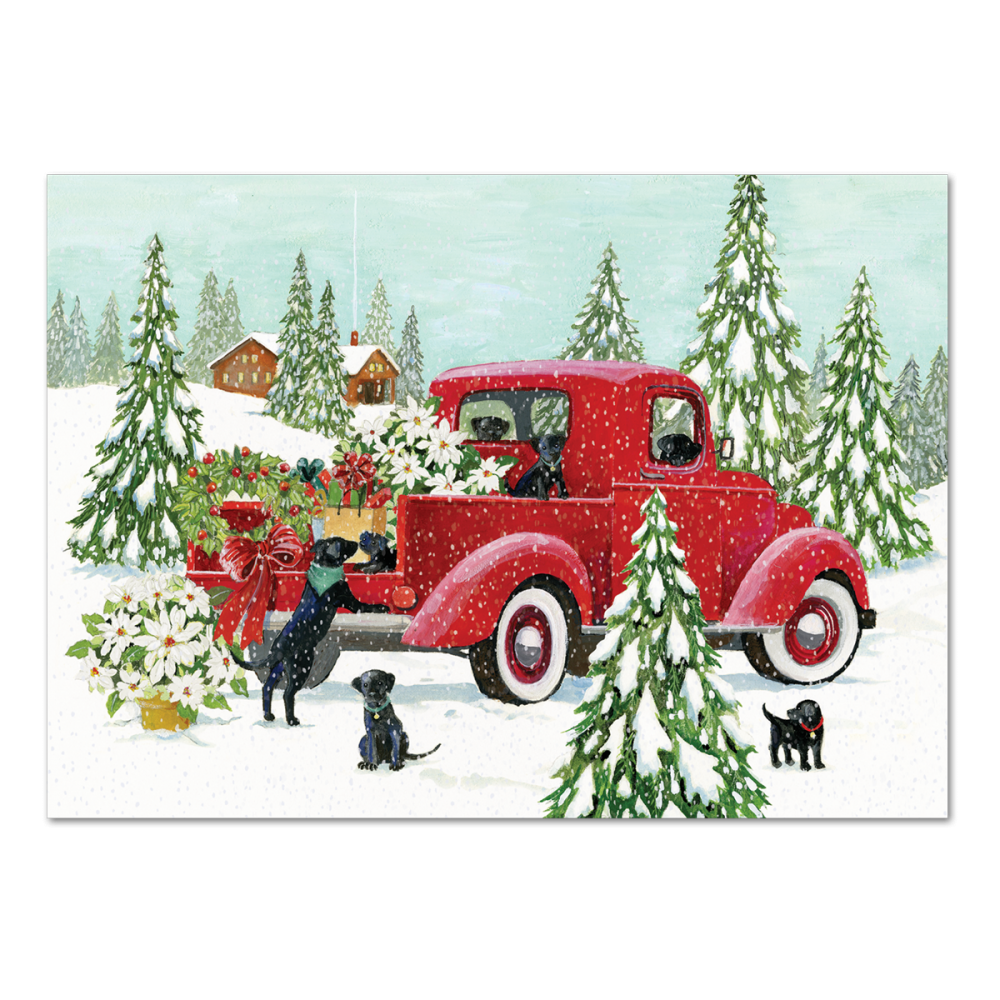 Heartland Christmas Red Truck Boxed Holiday Cards - Punch Studio