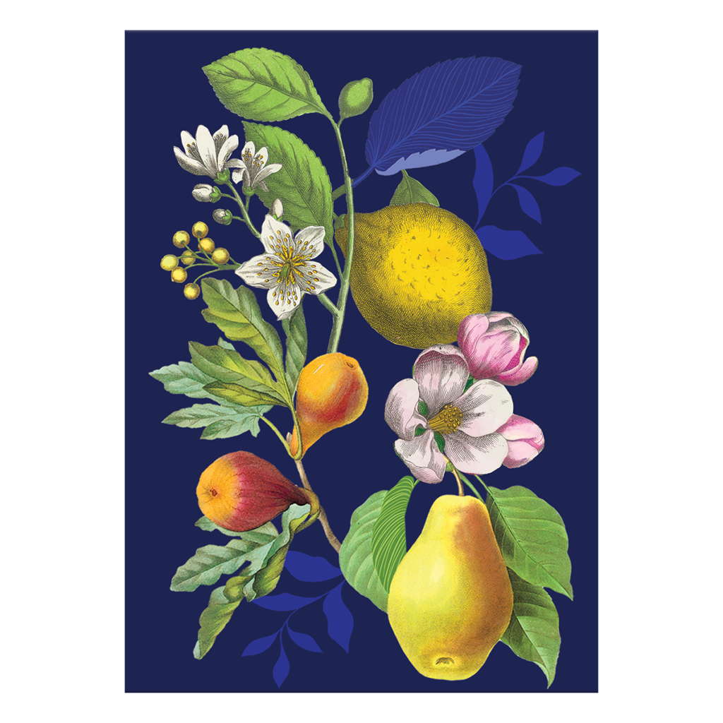 Fruit Greeting Card - Punch Studio