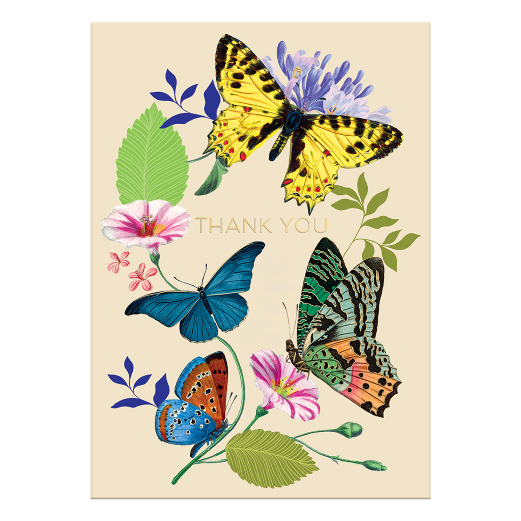 Butterflies Greeting Card - Punch Studio