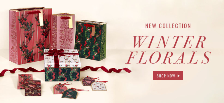 Punch Studio - Stationery Store · Gifts & More